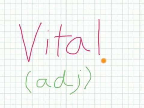 Video Vocabulary - "vital" definition