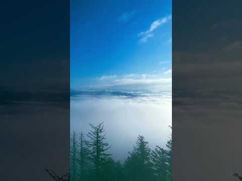 quick photo dump, much love to everyone, and hope you are having a great week #aesthetic #lofi #fog