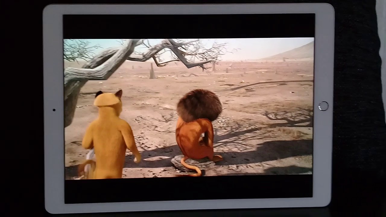 MADAGASCAR 2 ZUBA FLORRIE AND MAKUNGA
