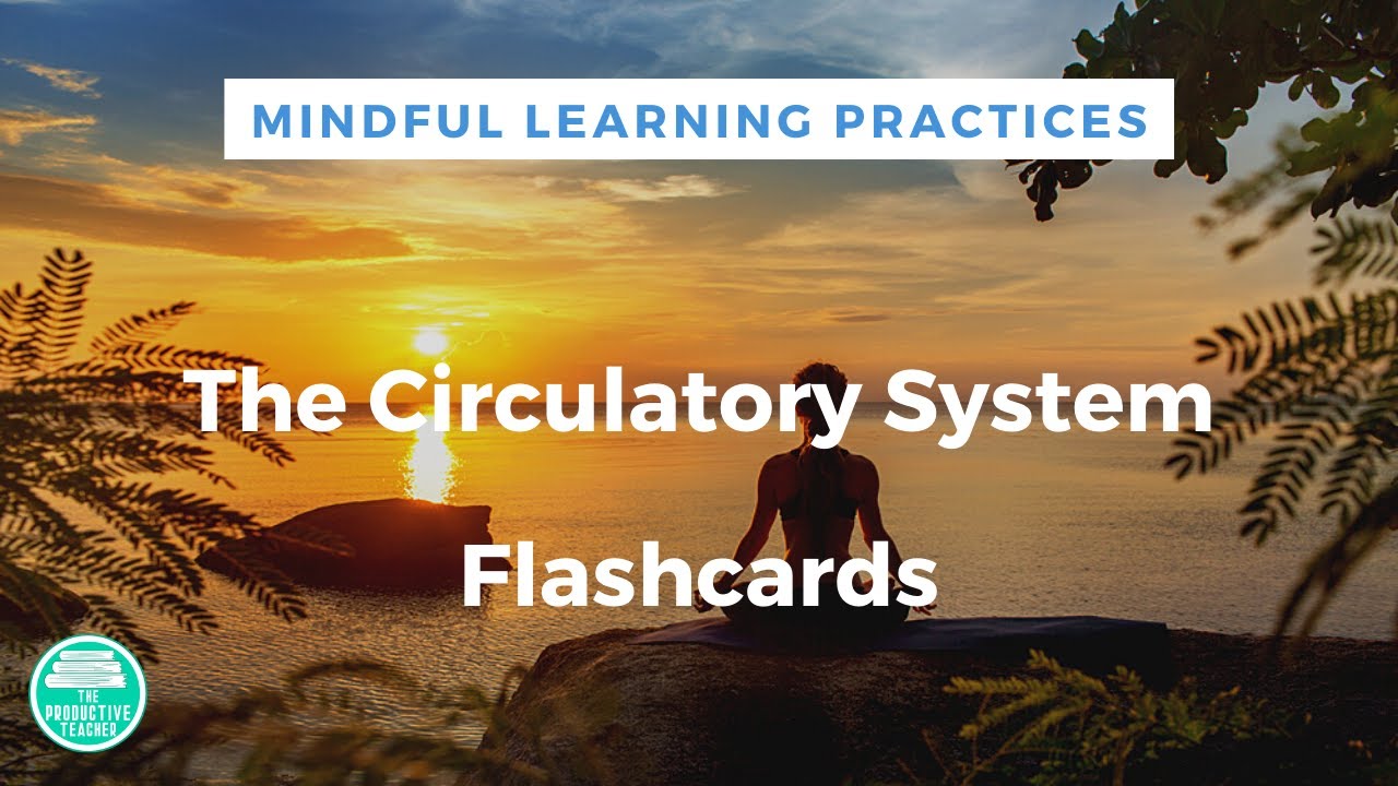 Circulatory System Digital Flashcards