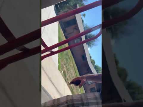 Angry Lowes Customer #funny#rude#Lowes#appliances#customers#angry