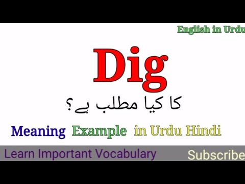 Dig Meaning in Urdu