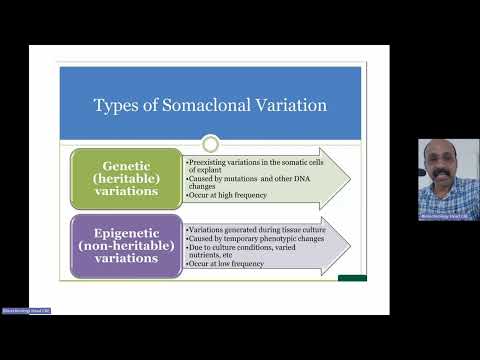 Lec 9 -somoclonal variation