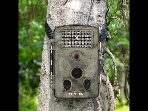 Crenova 12MP 1080P Infrared Game & Trail Camera RD1000 – Desktop Reviews