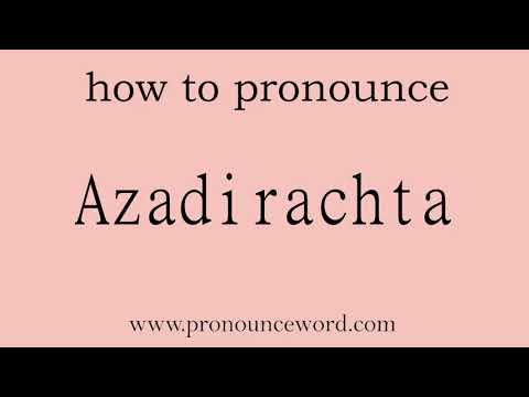 Azadirachta: How to pronounce Azadirachta in english (correct!).Start with A. Learn from me.