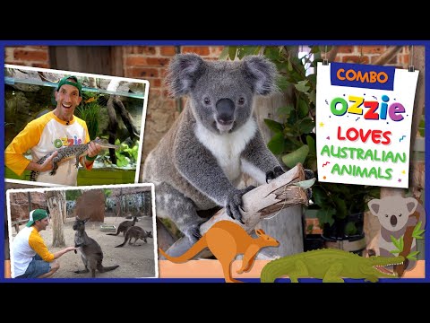 Unique Australian Animals For Kids | Educational Video With Ozzie