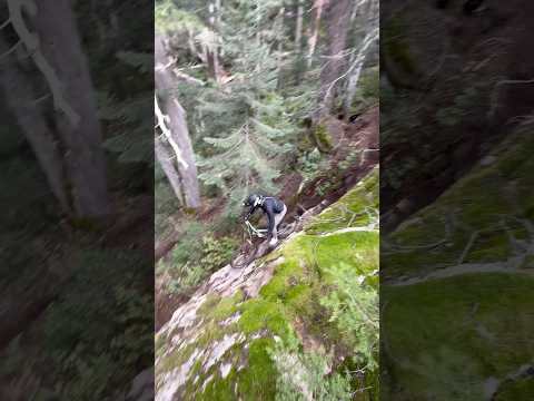 Is this line Sketchy or Not !? 😂 #whistler