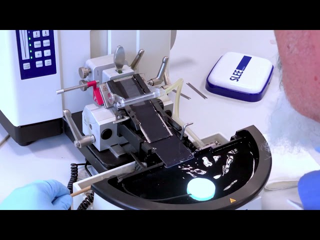 Leica - Biomerieux VIDAS and MINI VIDAS High Performance Food Pathogen ...