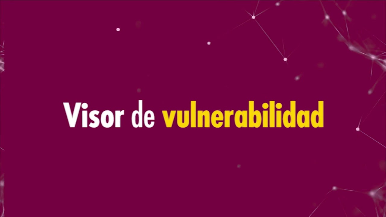 Visor del Índice de Vulnerabilidad