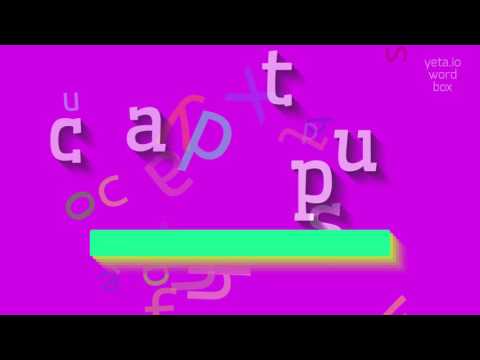 How to say "catsup"! (High Quality Voices)
