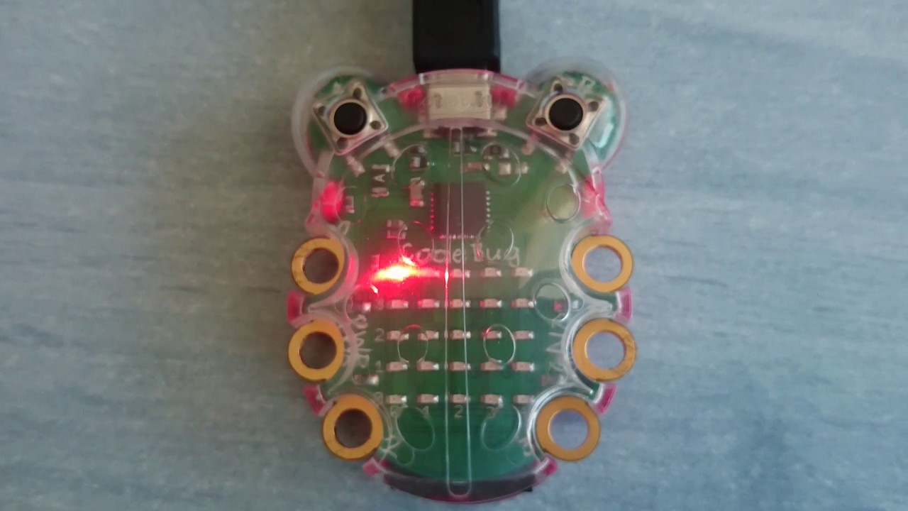 CodeBug 1