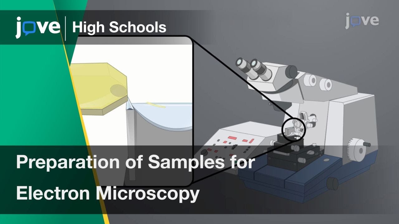 Preparation of Samples for Electron Microscopy | Cell Bio | Video Textbooks - Preview