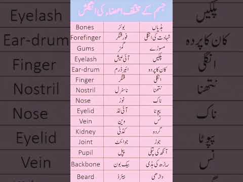 English words with the Urdu meanings about body organ#part8#vocabulary#used#sentences#english#learn