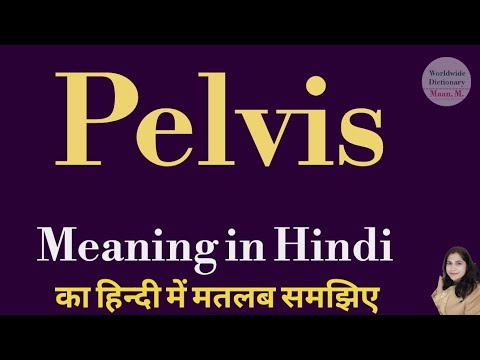 pelvis meaning l meaning of pelvis l pelvis ka kya matlab hota hai l vocabulary l hindi l english