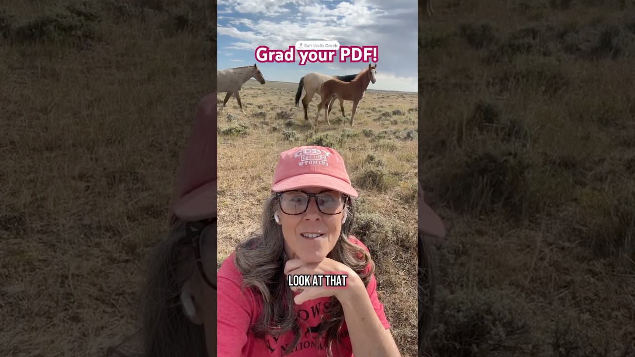 Download the free ‘Rewrite the Script’ PDF!