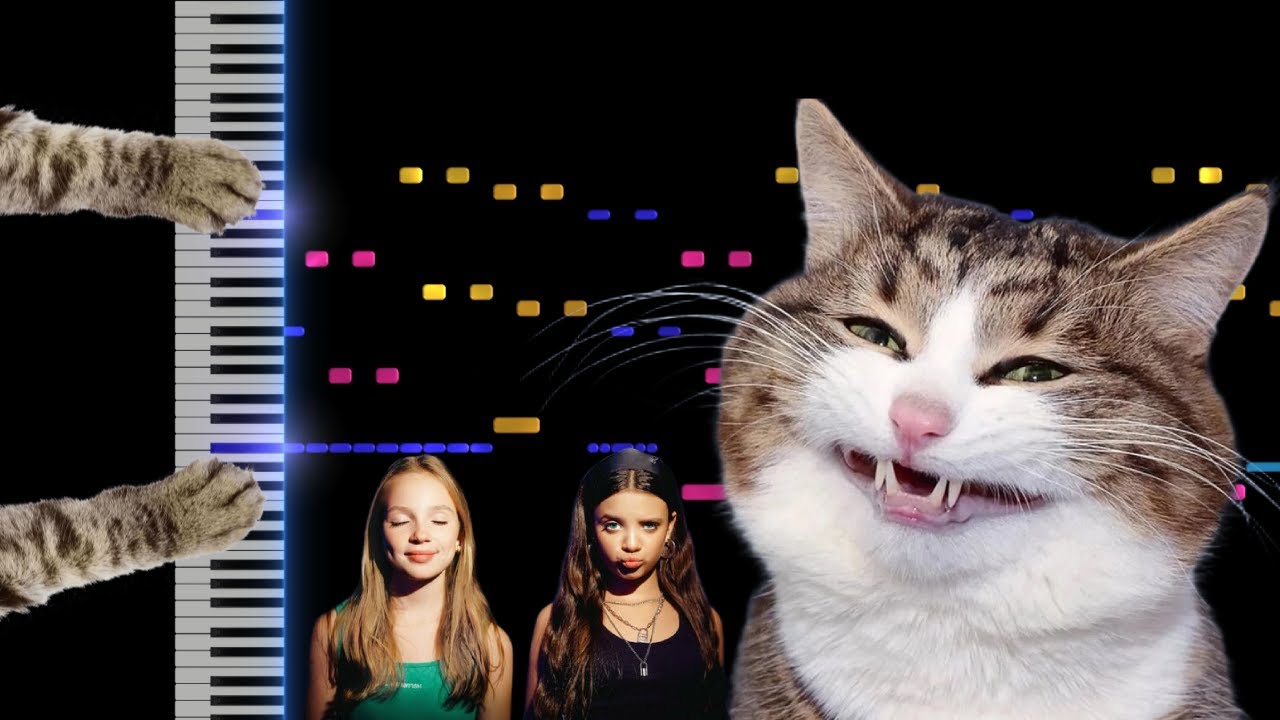 BETSY - SIGMA BOY (cat meow cover)