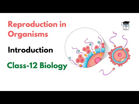 Introduction to Reproduction in Organisms Video Lecture - NEET