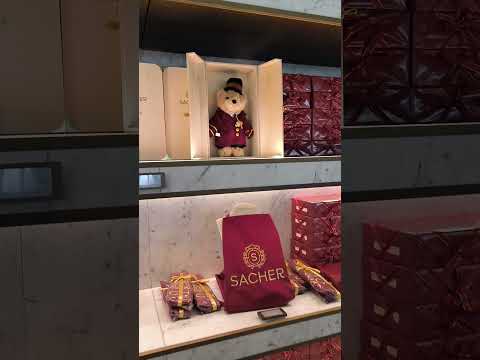 Introducing the Sacher. #sachertorte