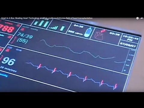 ‘Heart In A Box’: First Successful ‘Beating-Heart’ Transplant | TREND ...