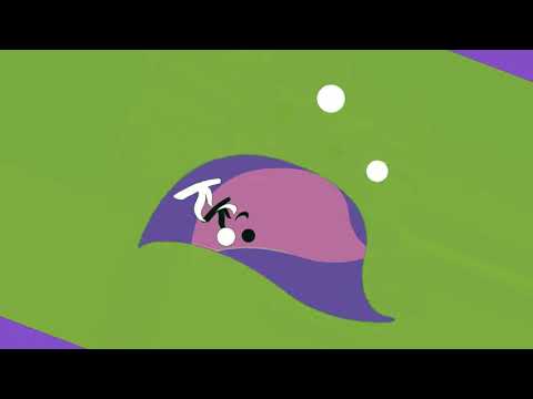 Knorr Logo 2024 Effects | Preview 2 Roku and Droid Effects