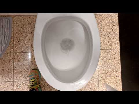 🚽 Bathroom Tour: Vintage American Standard toilet and Urinal in an office building in Chicago