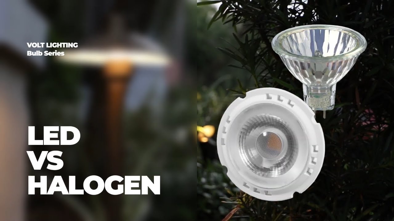 LED vs Halogen Bulbs for Landscape Lighting | Bulb Series