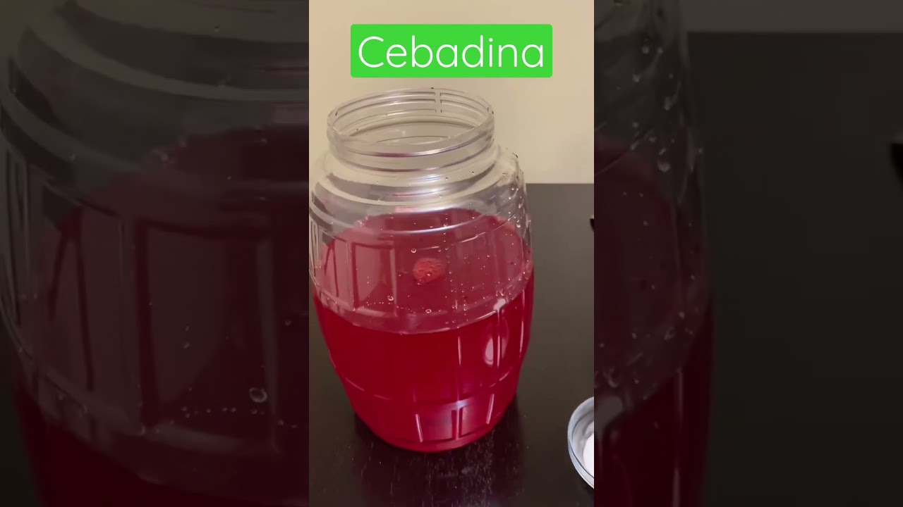 CEBADINA, Bebida tradicional de Gto. Video completo aquí en el canal @DesdeMiCocinaClarissayRicardo