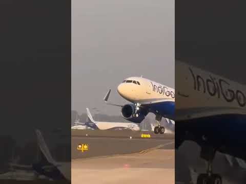 Flying with the sky ❤️#trending #shortsfeed a#travel #flight #status #viralvideo #shorts