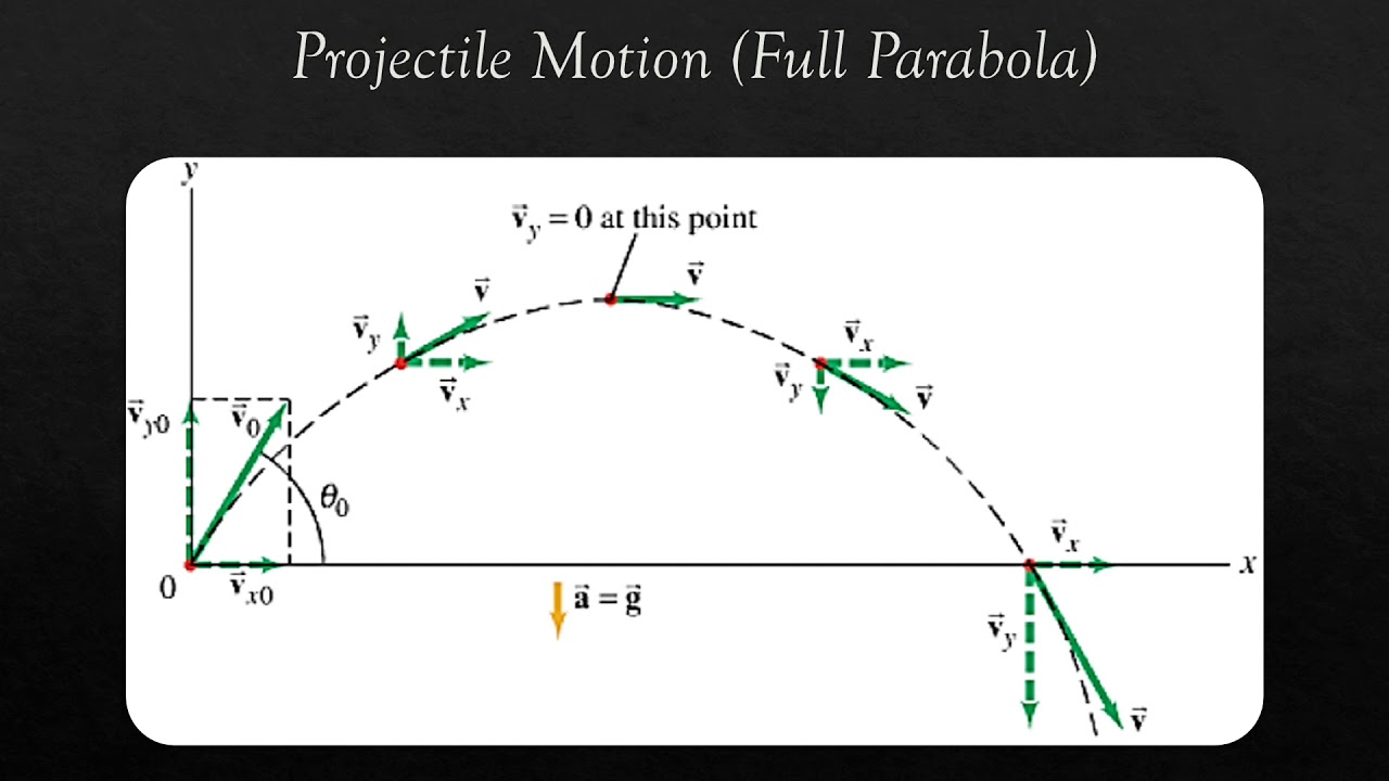 AP Physics 1: Algebra Based - Unit 1 Review  - Kinematics & Projectiles