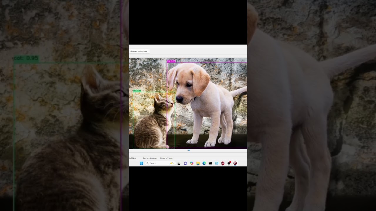 Using ONNX Runtime in Delphi
