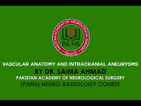 Vascular anatomy and intracranial aneurysms by Dr. Saima Ahmad - PANS - Neuro-radiology Course