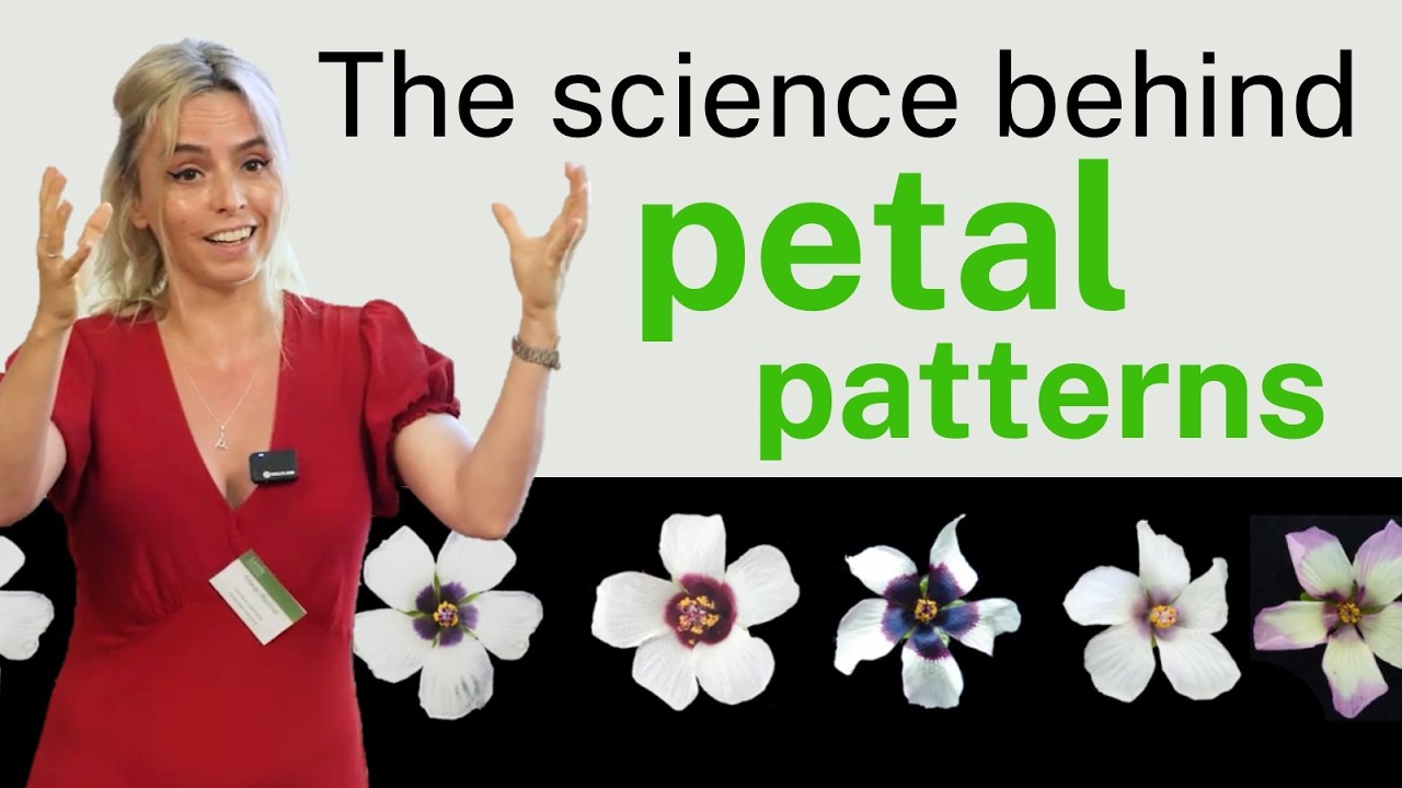 Understanding how flowers pattern their petal - Dr Edwige Moyroud, University of Cambridge
