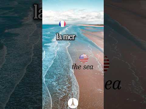 🇺🇸 🇫🇷 The Sea 🌊 - FRENCHTIONARY (English French Visual Dictionary)