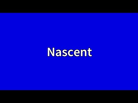 Nascent Meaning