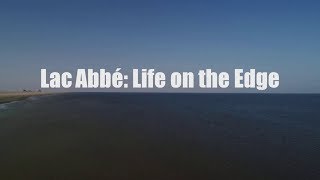 10 Amazing Things to Do in Lake Abbe National Park, Djibouti | Gems.Travel