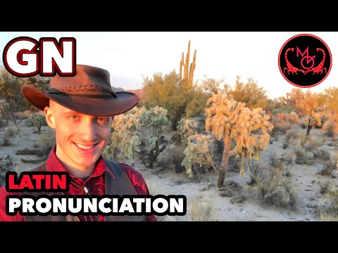 How to Pronounce Latin (Letters GN) / De Latine Pronuntiando (GN Litterae)