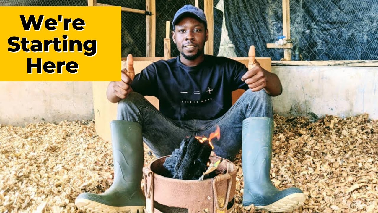 Finally Ready for the Broiler Brooding Management Series