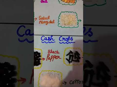 food crops & cash crops activity