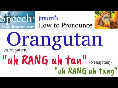 How to Pronounce Orangutan (2 Correct Ways)