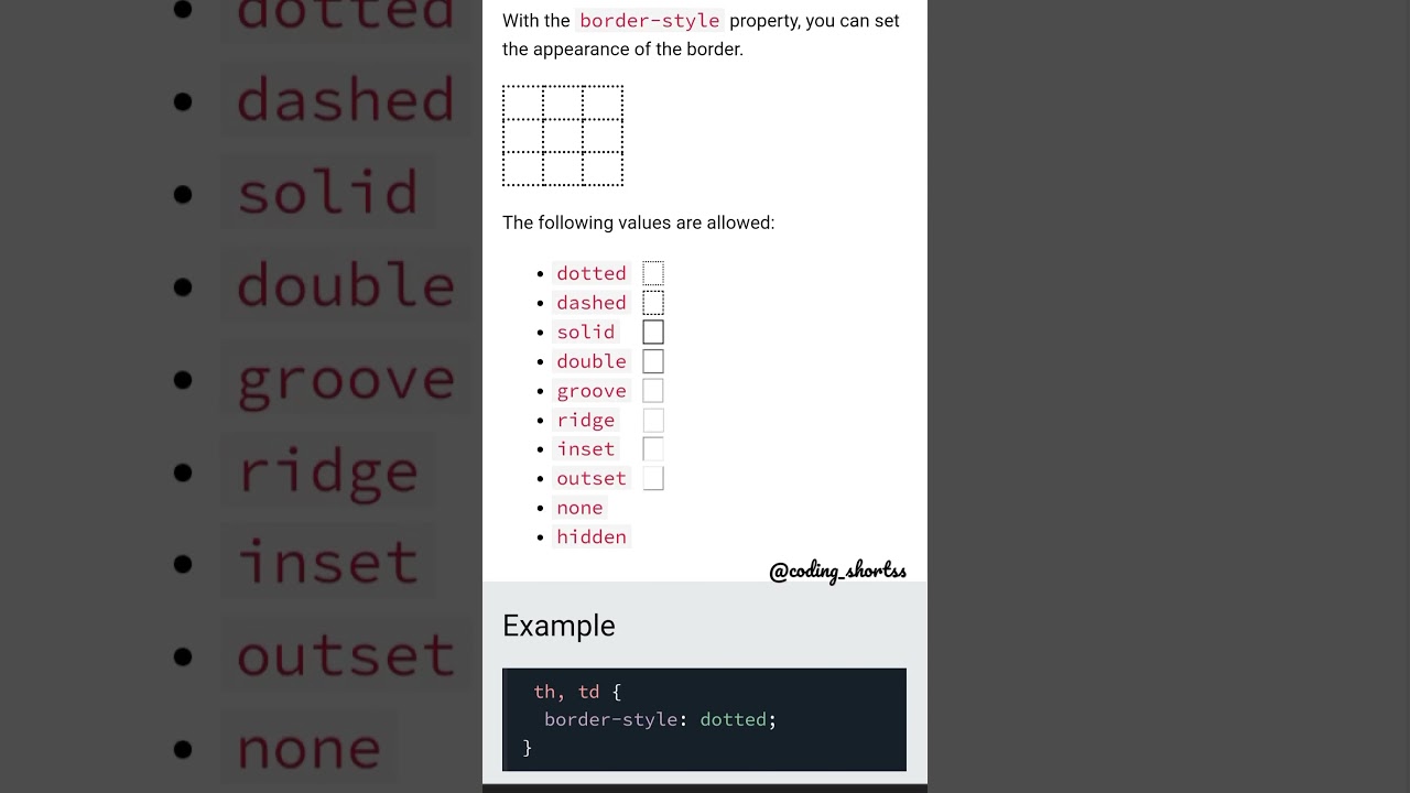 Border style | html table style #viral #shorts #short #shortvideo