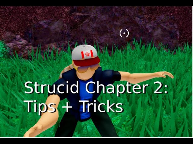 Beginner's guide to Roblox Strucid