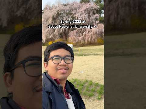 Spring 2025 at Seoul National University! ๐ฐ๐ท #snu #seoulnationaluniversity