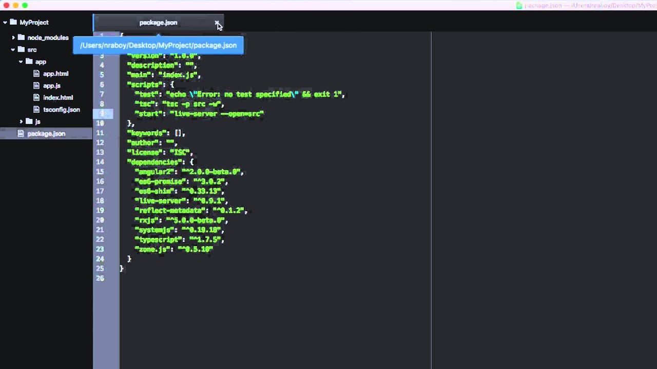 Include External JavaScript Libraries In An Angular 2 TypeScript Project