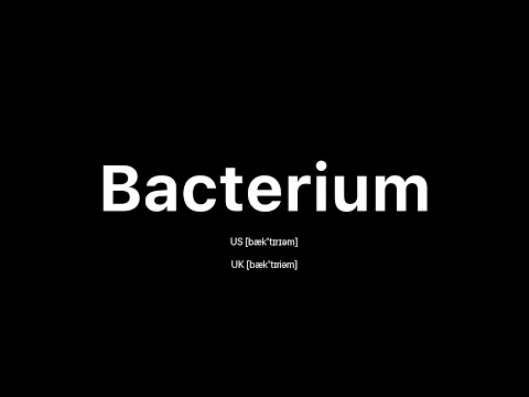 How to Pronounce Bacterium: πΊπΈ American English vs. π¬π§ British English