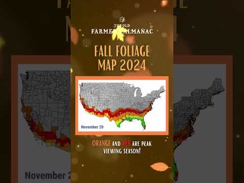 Fall Foliage Map 2024