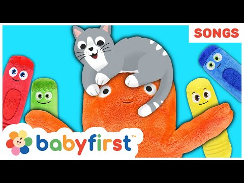The Cute Cat Song | Kitten for Kids | Animals Songs | Nursery Rhymes for Babies | Baby First TV