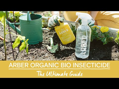 Arber Organic Bio Insecticide: How to Best Use and Apply for Pest-Free Houseplants & Gardens