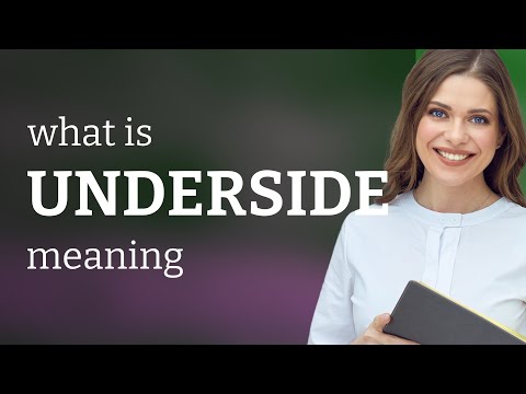 Underside — UNDERSIDE definition