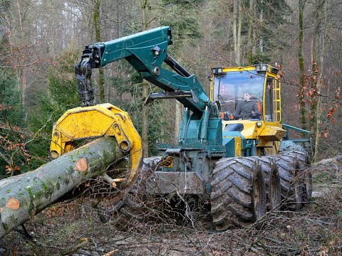 🌲HSM 8WD Zangenskidder • HSM 208Z • Skidder • Langholz Rückung • Powerful Machine🌲