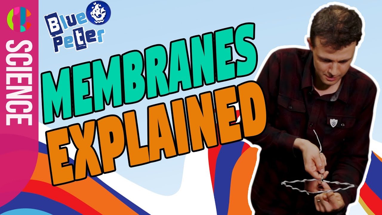 Science experiment | How membranes work